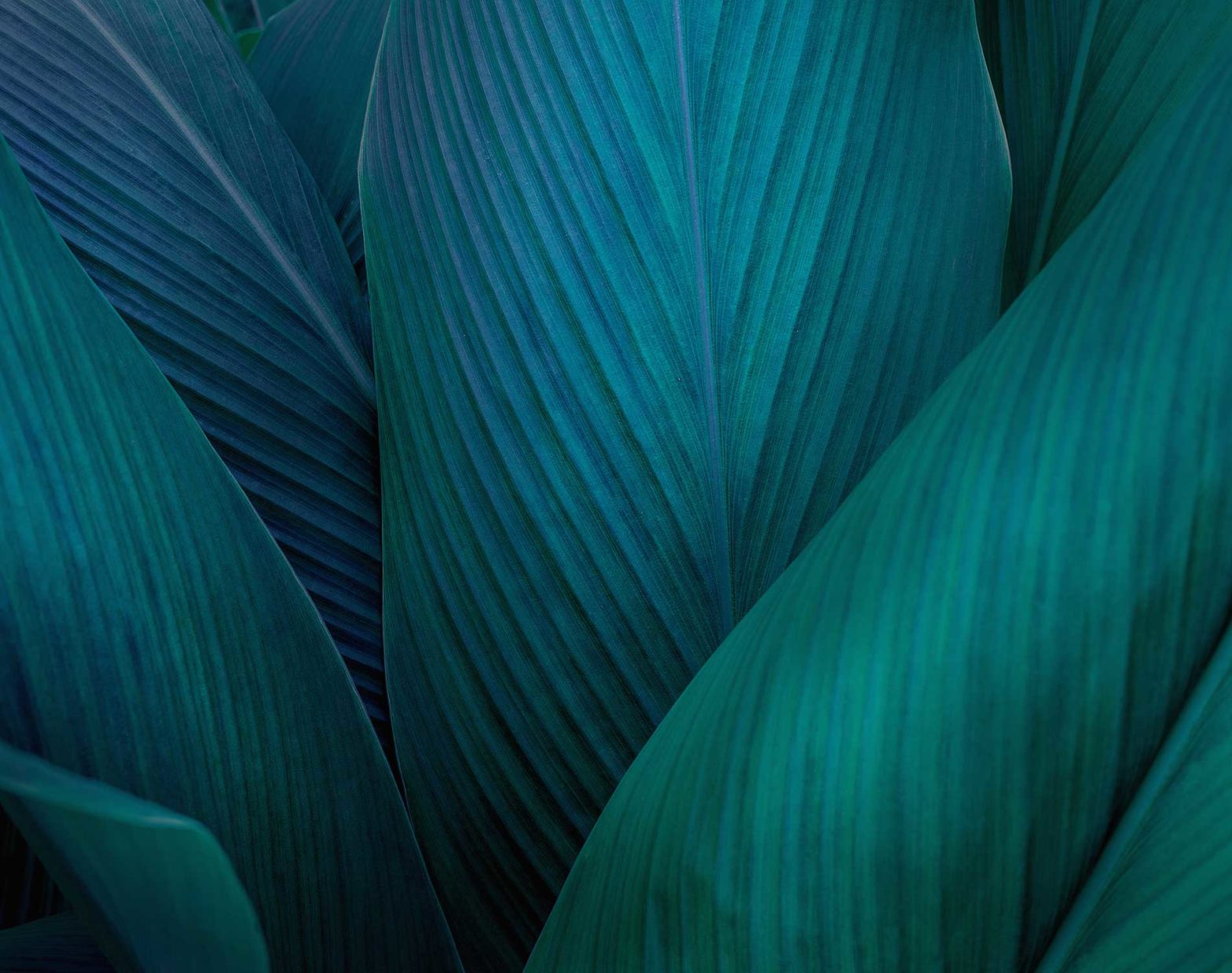 FEC Increases Federal Contribution Limits for 2023-24 Election Cycle ...